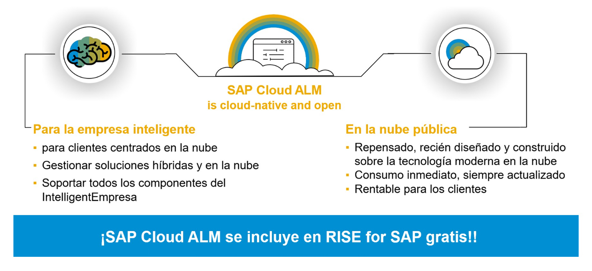 Cloud ALM - Tebyon Consulting